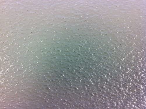 Automotive Textured Metal Paints | TA Paints